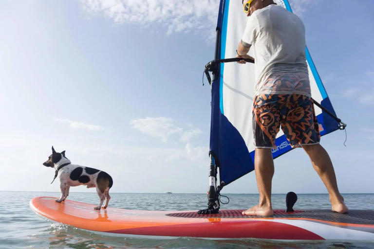 Adventure sports boom: Summer sees surge in adventure sports; families ...