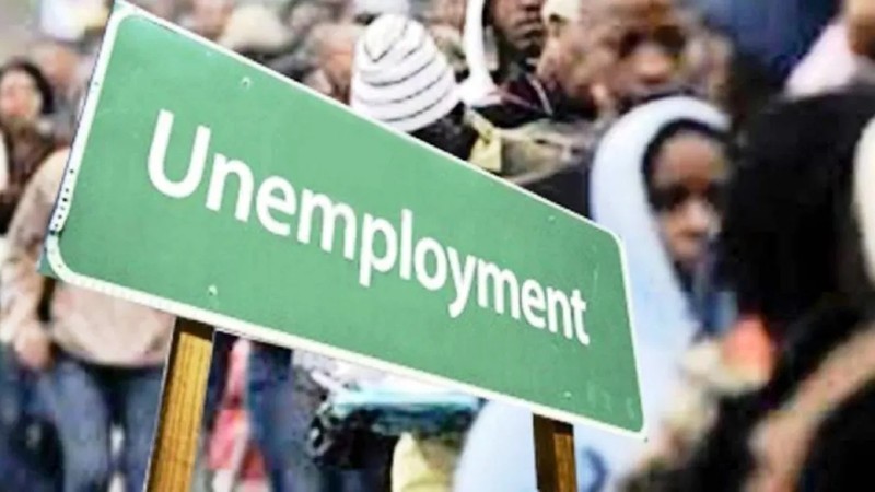 Understanding youth unemployment: What separates those who find jobs ...