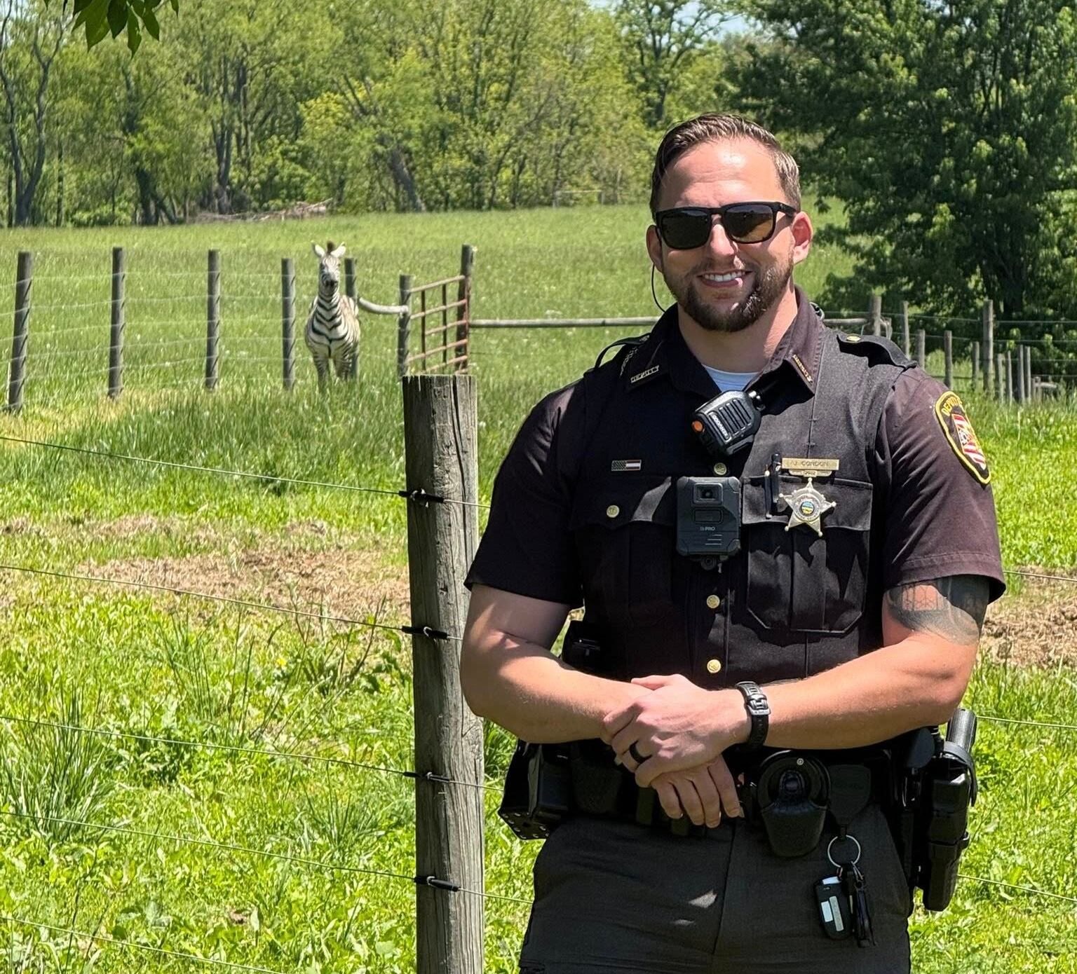 Zebra on the loose apprehended by Ohio deputies