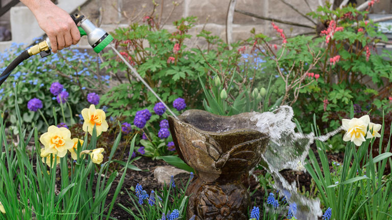 Do copper birdbaths really prevent algae growth?