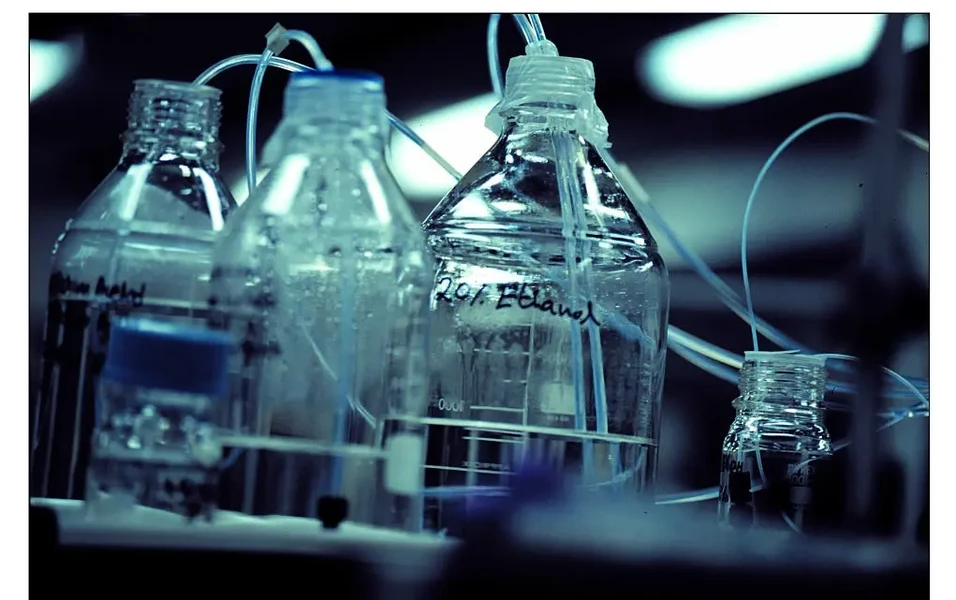 Osaka researchers uncover two proteins controlling stem cell fate