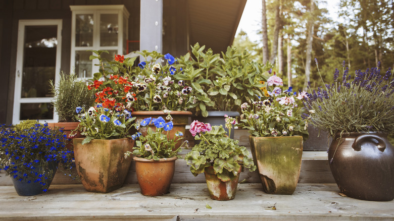The 12 best flower bed ideas to try out if you have a smaller backyard