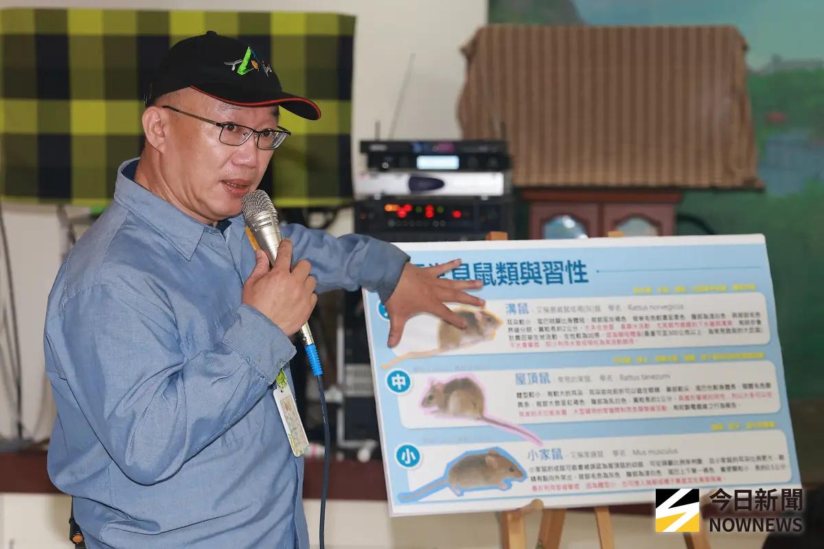 鼠類偵防師成軍 分析蹤跡防社區「鼠三寶」