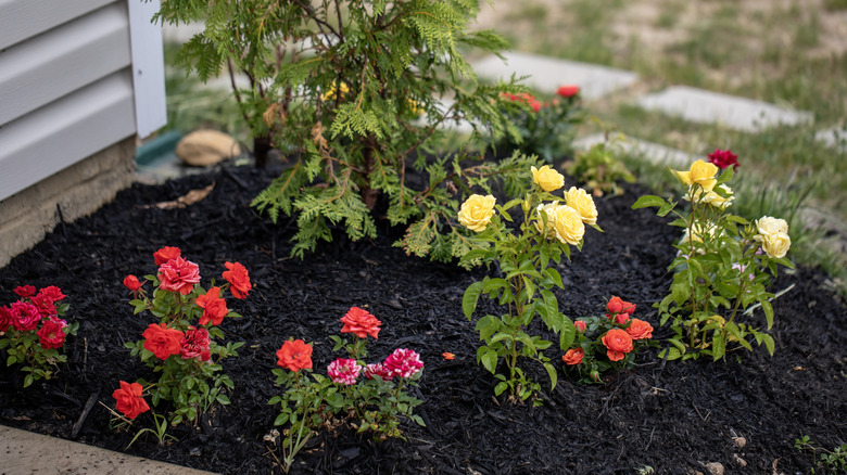 The 12 best flower bed ideas to try out if you have a smaller backyard