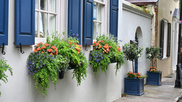 28 cascading ground covers to fill window boxes for added beauty