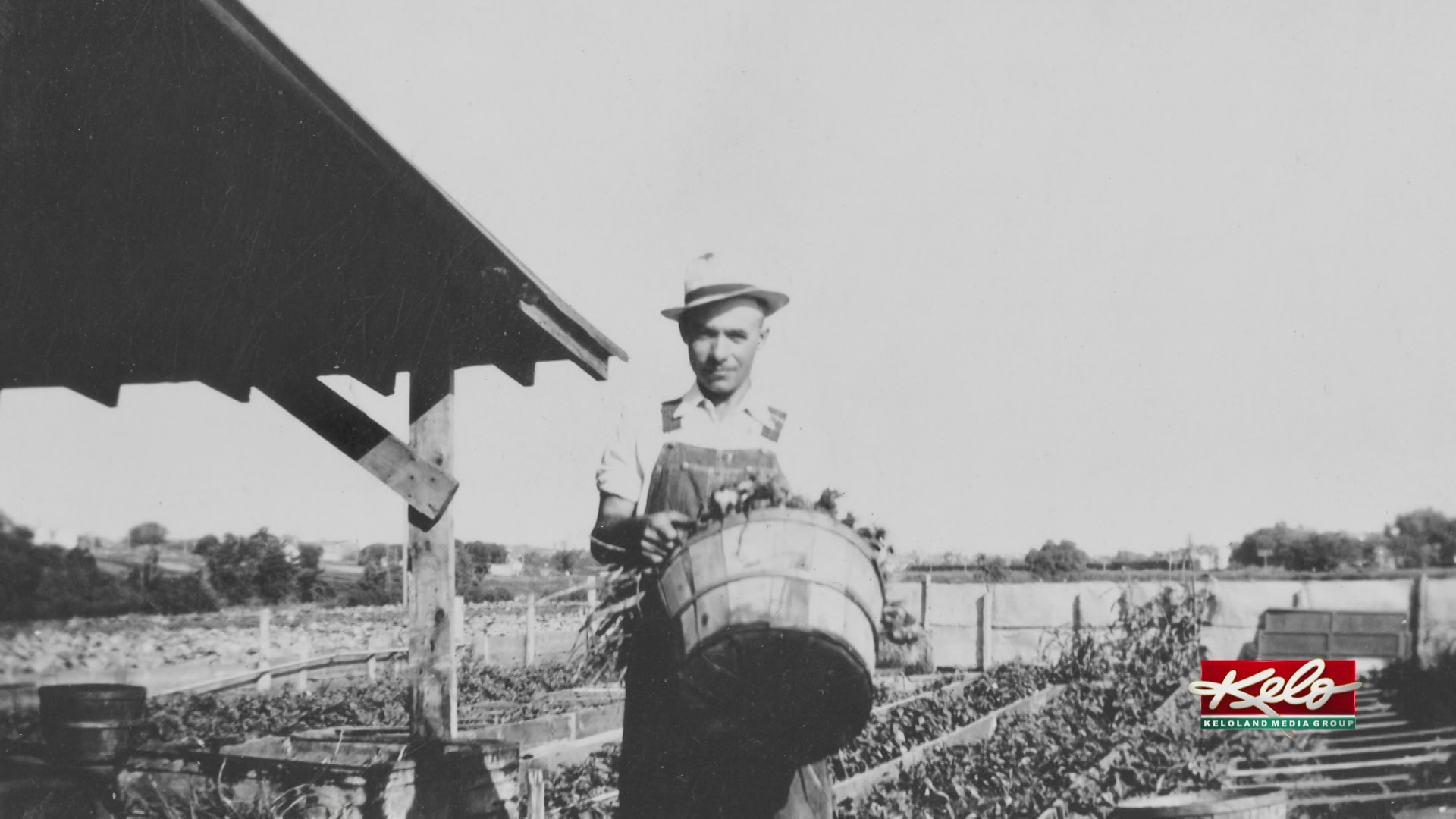 Cherry Rock Farms marks 101 years with earliest growing season yet