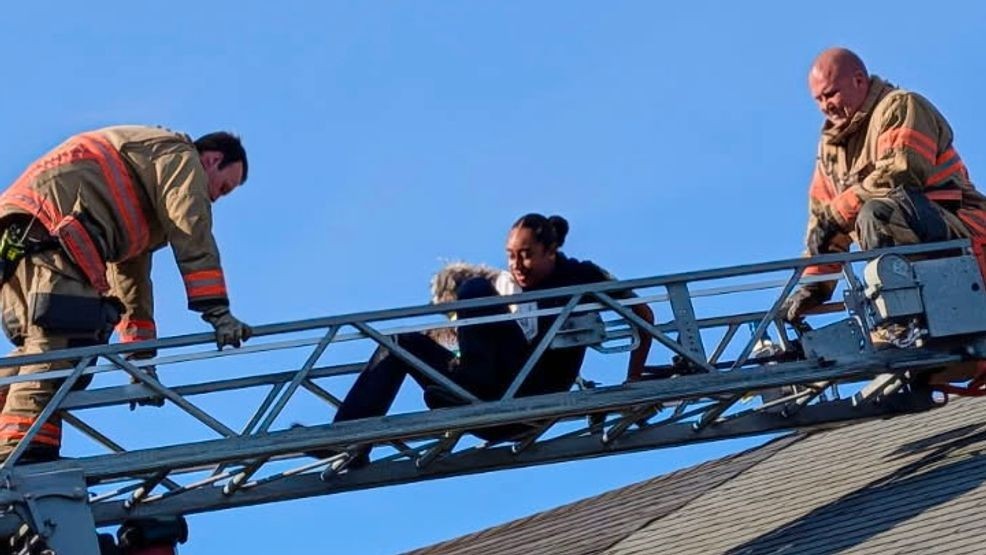 Police officer rescues dog stranded on rooftop in Dundalk