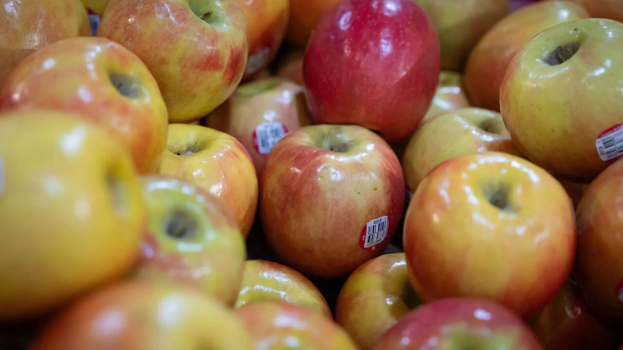 US grocery prices increase amid rising fuel costs and supply chain ...