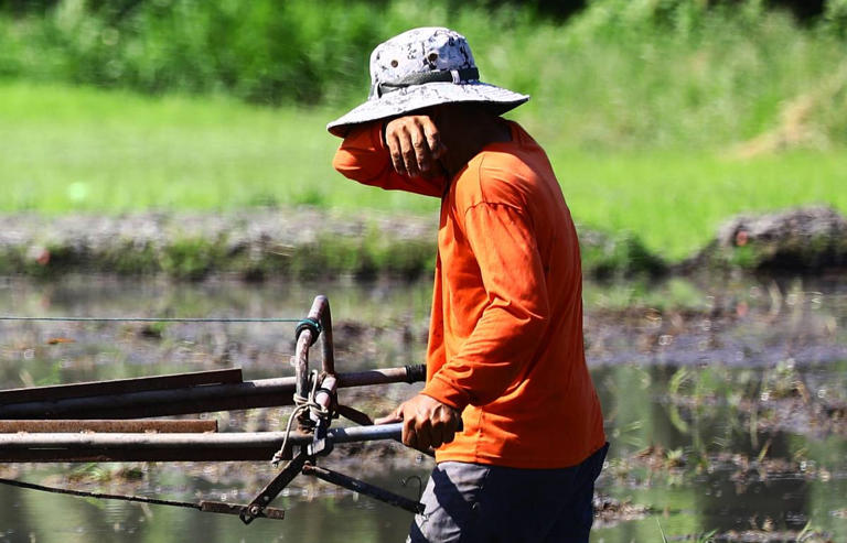 Warm, humid weather to persist — PAGASA