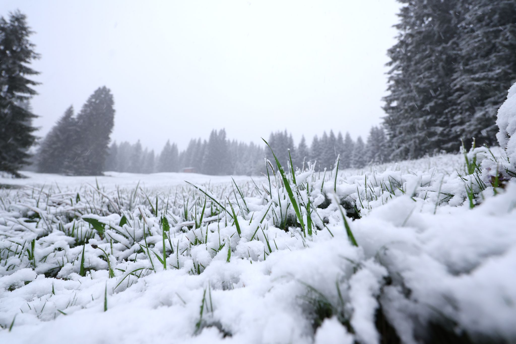 Wetter bleibt ungemütlich - auch am Feiertag