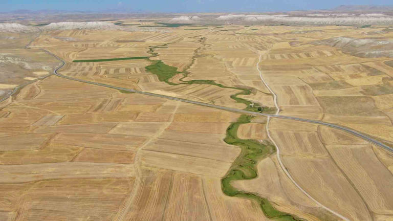 Bozkırda nadir görülen menderes ıslah öncesi dron ile görüntülendi