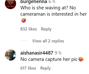 Was Alia Bhatt ignored by photographers on the Cannes 2026 red carpet?