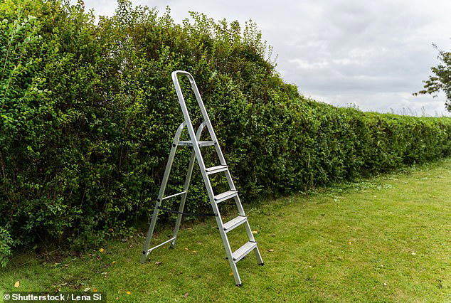 My hedge grows into my neighbour's garden: Can he force me to cut it?