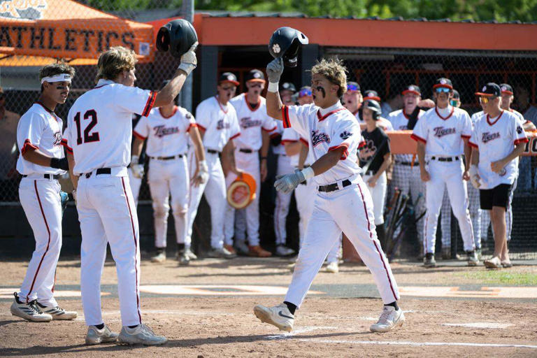 High school baseball playoffs: Tyler Ritter leads Roseville in ...
