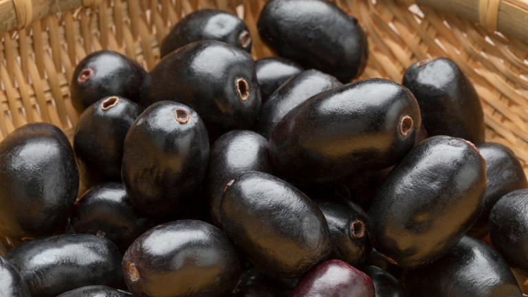 What is jamun called in English?