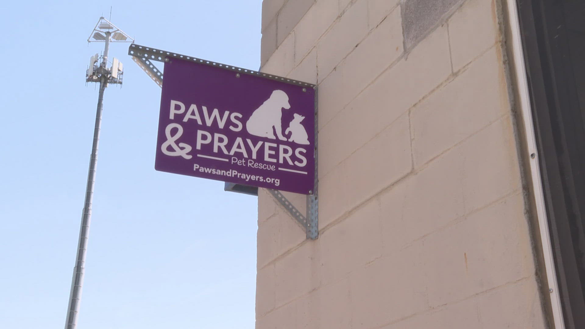 Paws and Prayers Pet Rescue's 'Forever Foster' program in Cuyahoga ...