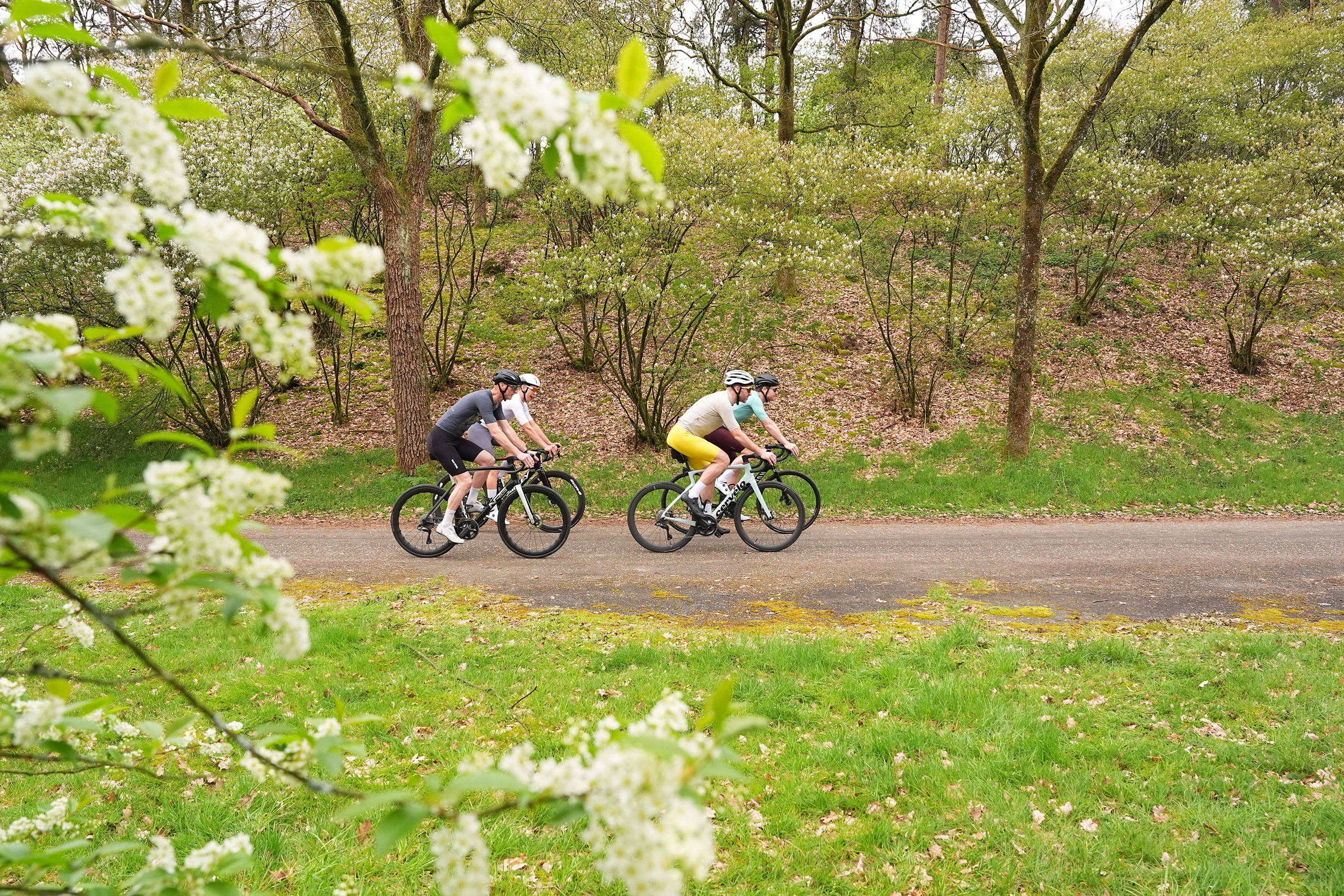 Waarom je harder fietst richting de finish? Het Goal Gradient Effect
