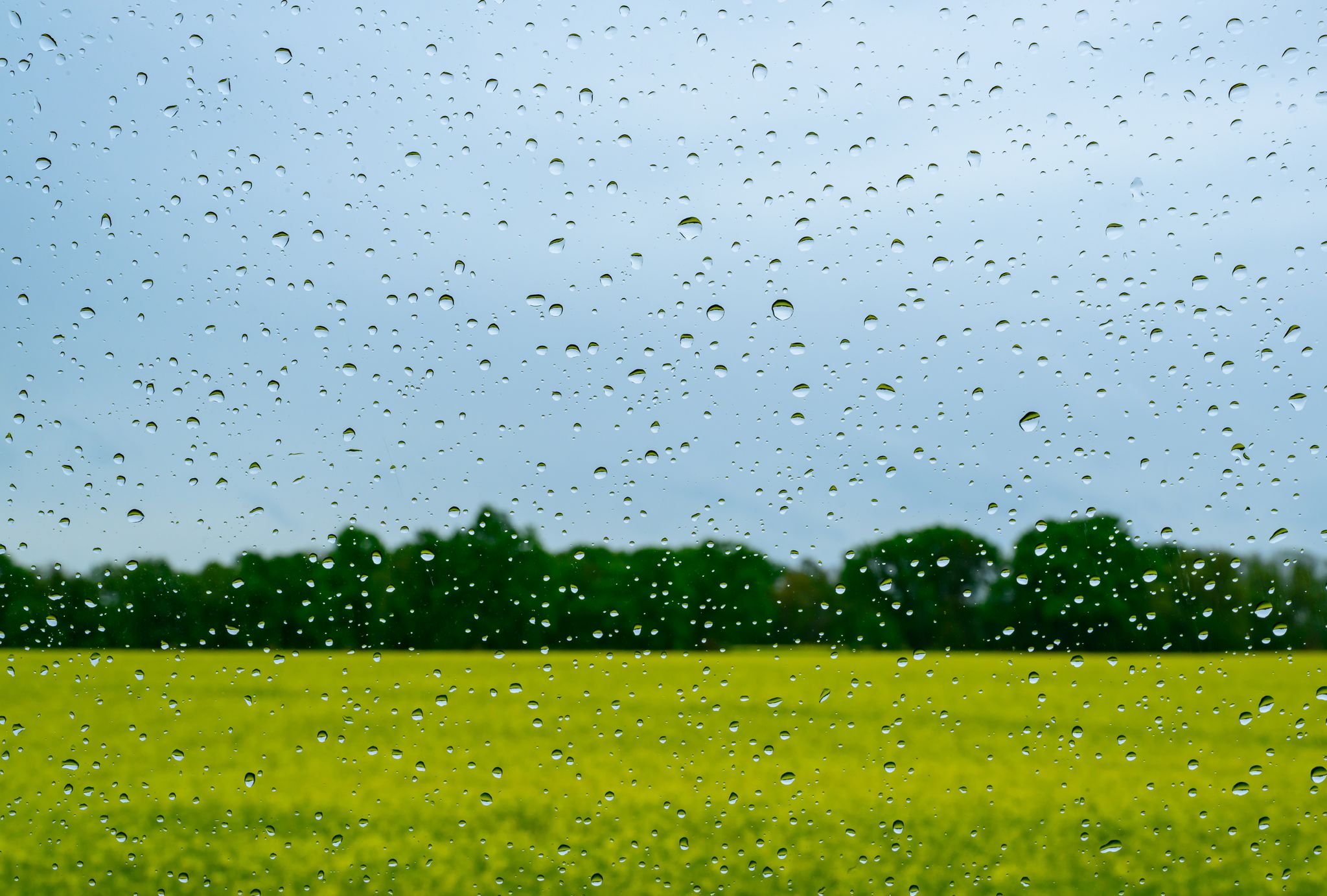 Nasser Feiertag erwartet – «Schauer und Gewitter im Gepäck»
