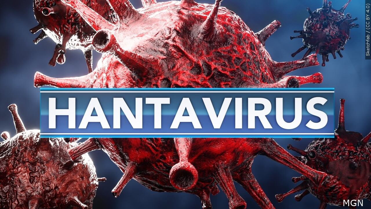 What To Know About Hantavirus In North Carolina