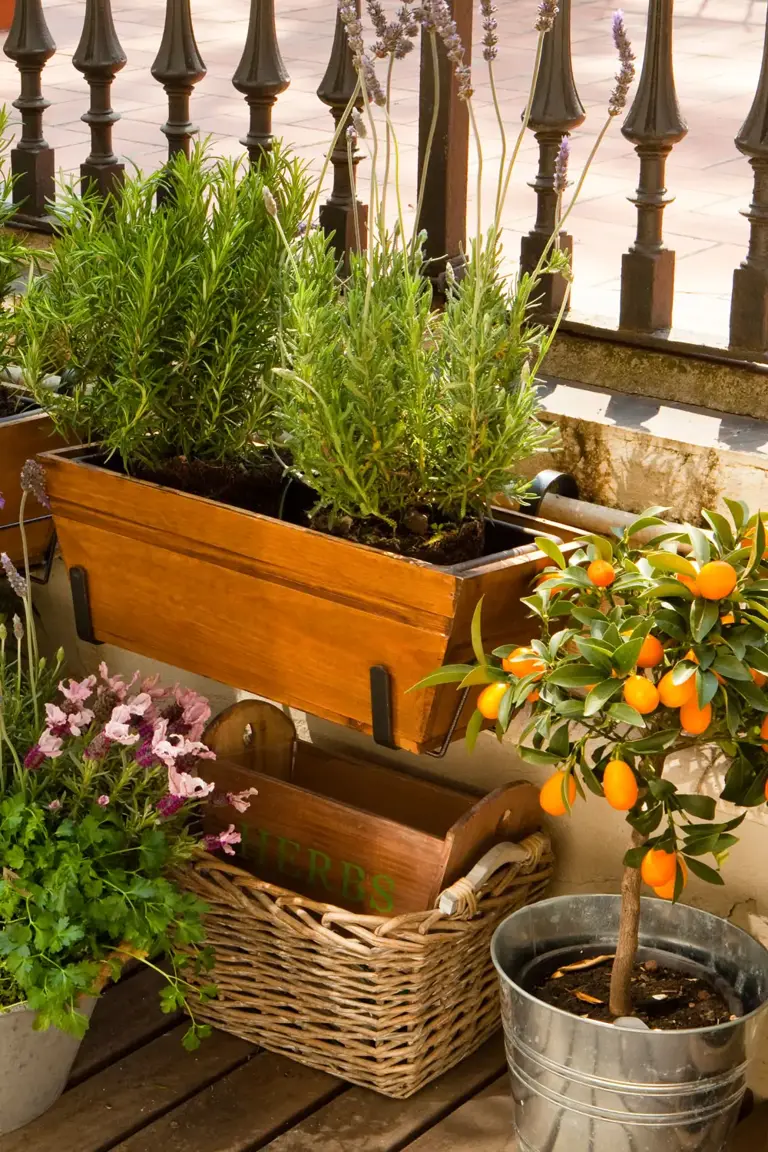 Cómo agrupar las macetas de tu terraza para que se vean más elegantes