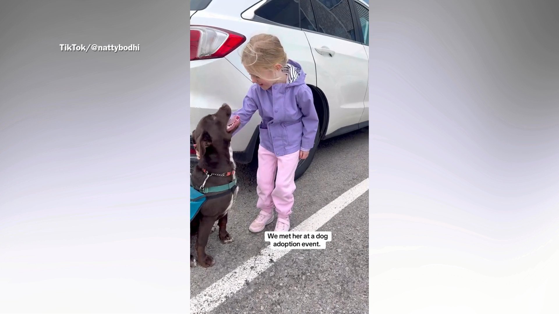 Girl, 6, bonds with one-eyed rescue dog at adoption event
