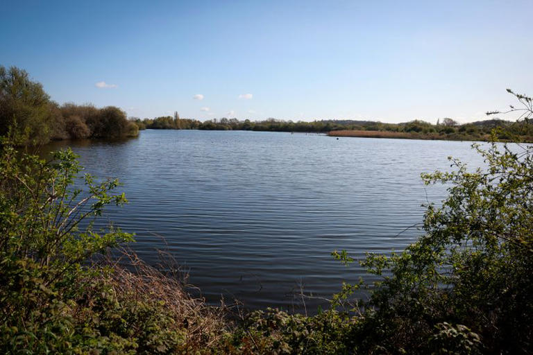 Inside the 'perfect' Nottinghamshire nature reserve opened by David ...