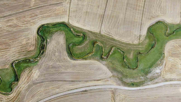 Bozkırda nadir görülen menderes ıslah öncesi dron ile görüntülendi