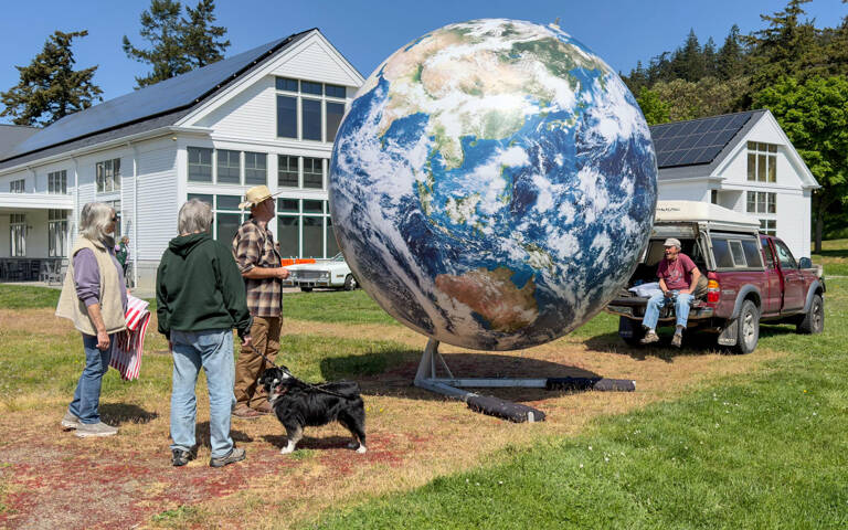 Global Earth repair