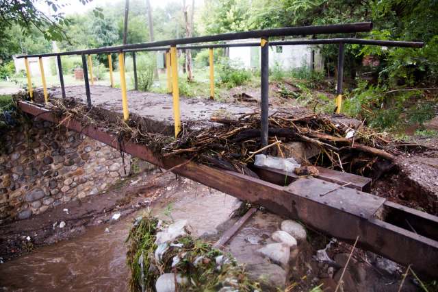 Drought, downpours, and displaced rodents are driving Argentina's ...