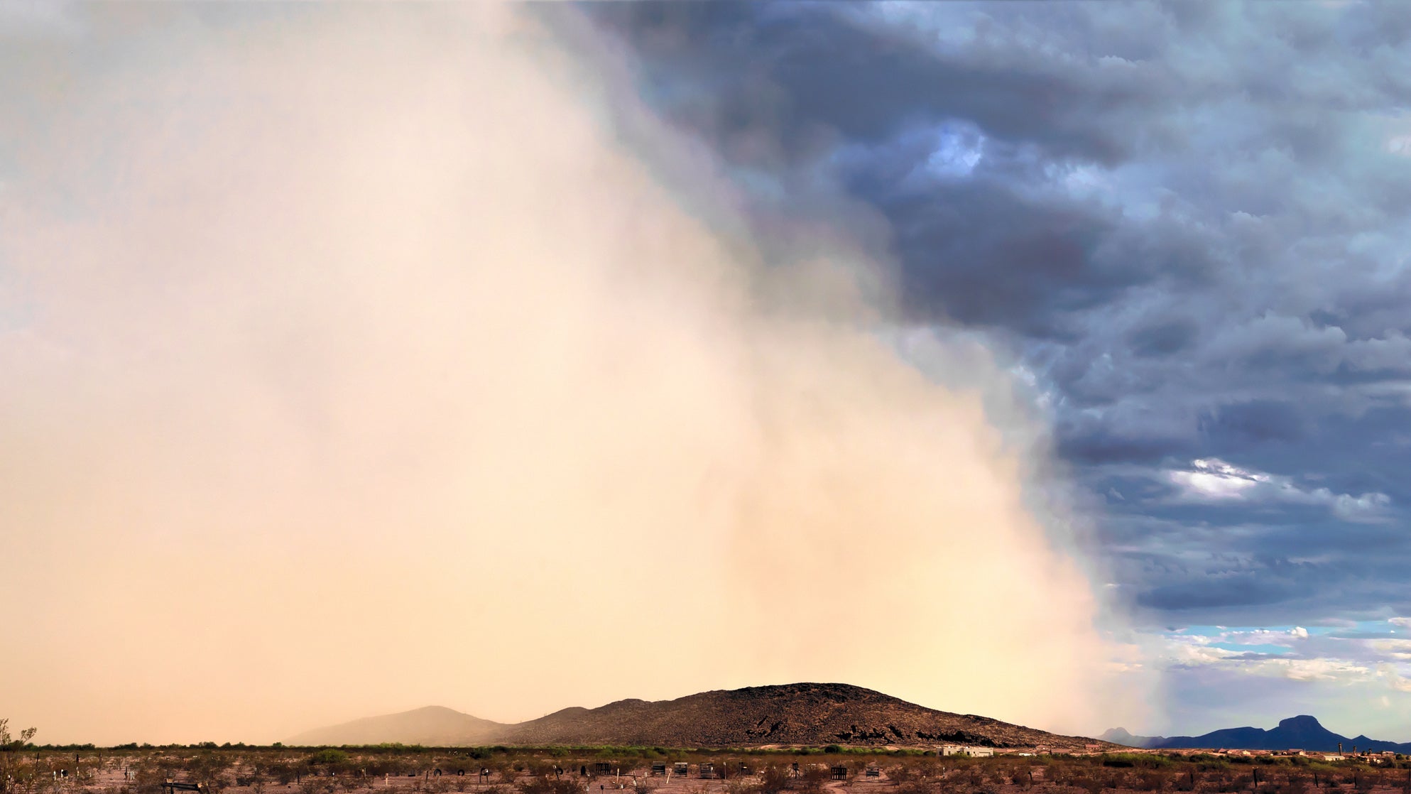 How changing weather is spreading 'fungal storms' across America ...