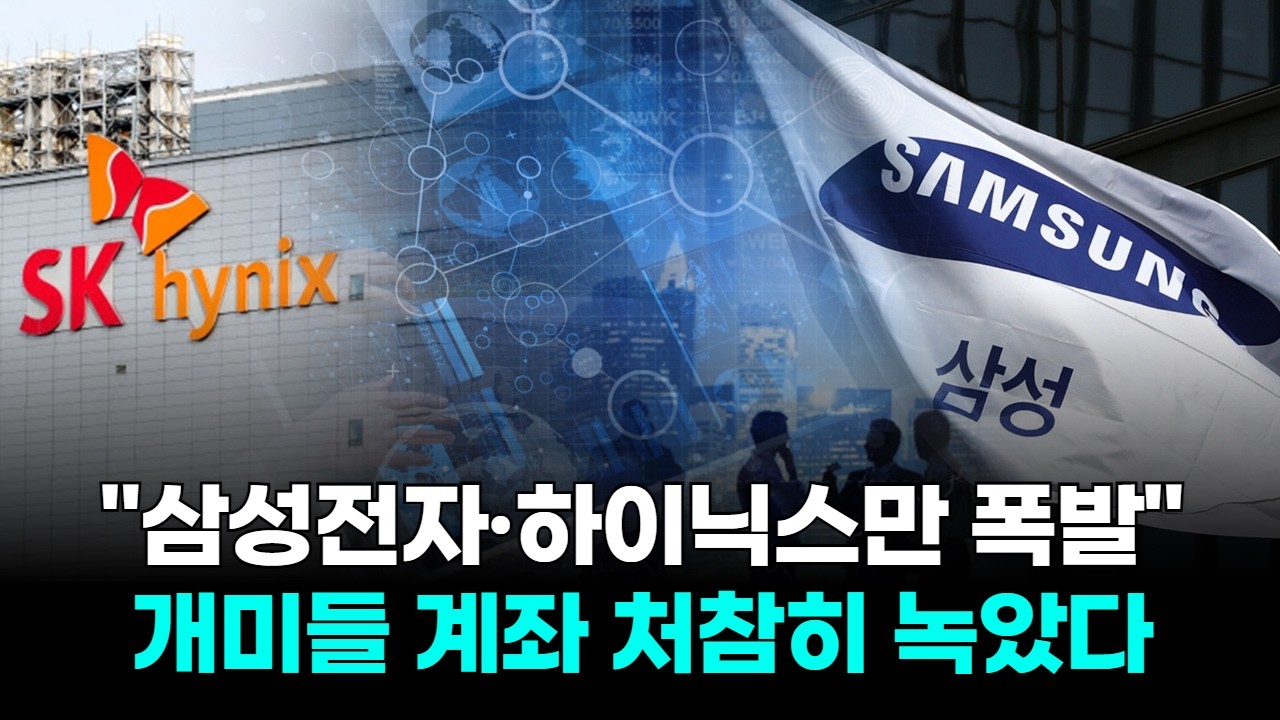 삼성전자·하이닉스만 폭발... 개미들 계좌 처참히 녹았다