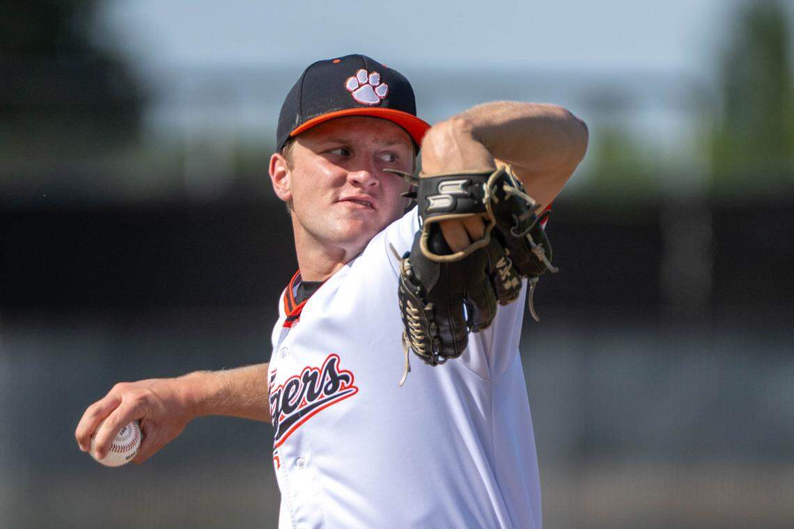 High school baseball playoffs: Tyler Ritter leads Roseville in ...