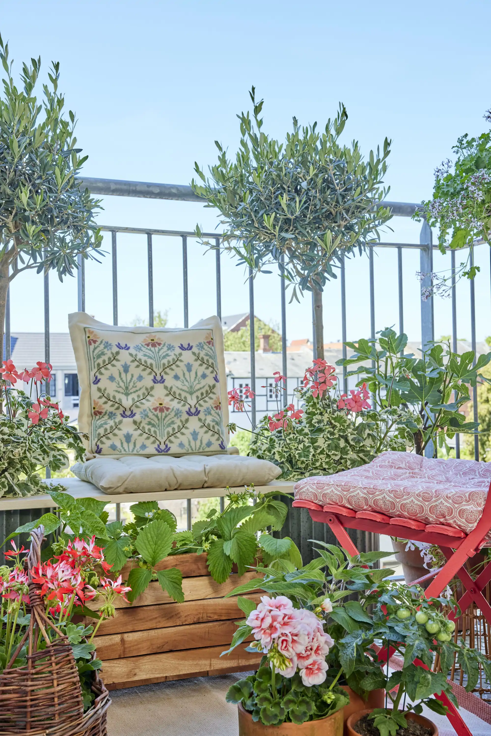 En mayo todo el mundo busca estas 15 plantas con flor que resisten al sol