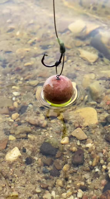 Carp rig setup secrets every angler should know