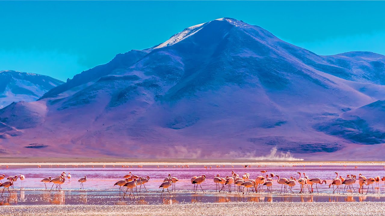Bolivia's Altiplano: The Earth's most extreme environment