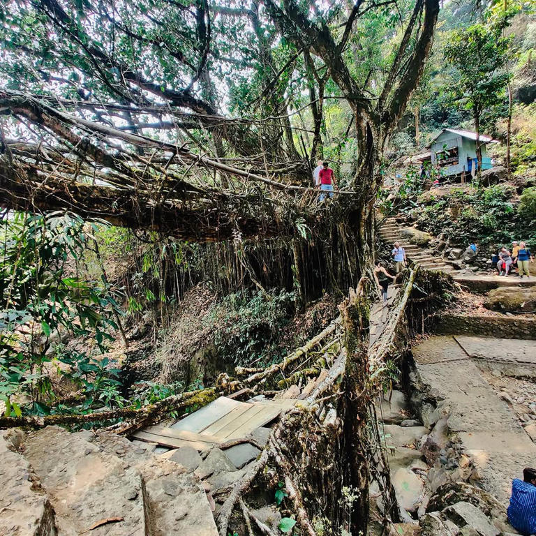 Life inside the world's wettest village