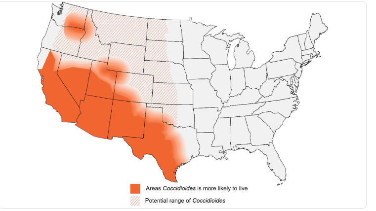 How changing weather is spreading 'fungal storms' across America ...