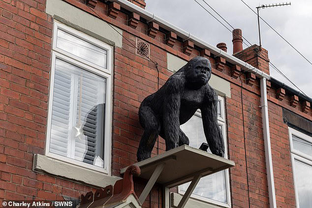 Gorilla warfare! Homeowner faces £20,000 fine if she refuses to remove ...