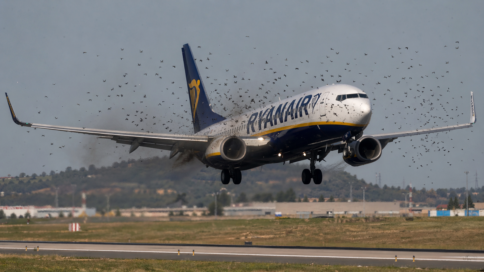 Ryanair 4102 hit birds near Rome and both engines failed seconds later