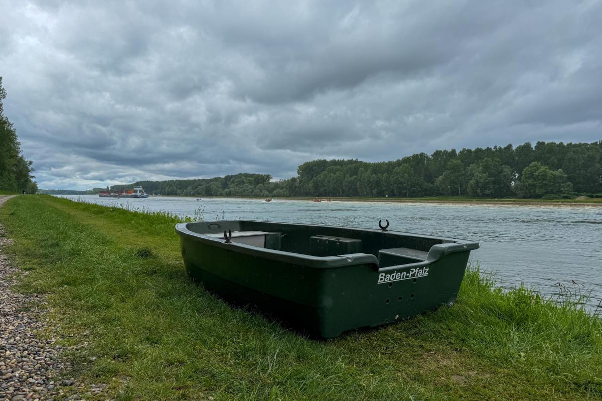 Boot auf Rhein gestohlen: Hatte der Dieb einen Komplizen?
