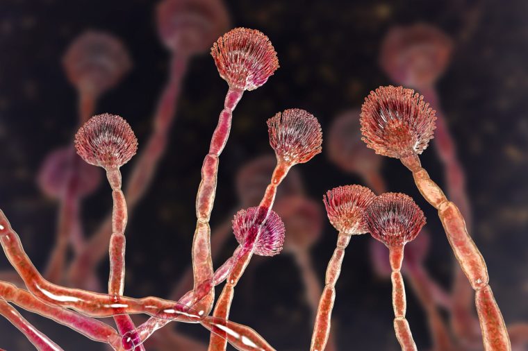 Six early signs that your house has mould, and what to do about it