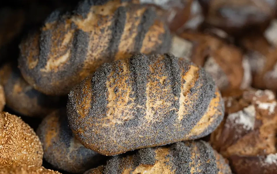 Experts highlight sourdough, whole grain, and sprouted breads as ...