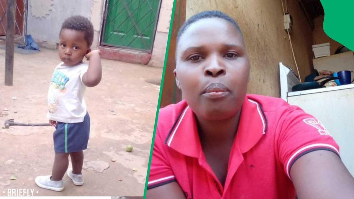 Bela-Bela tragedy: Woman and child killed by Aaron Motsoaledi's state ...