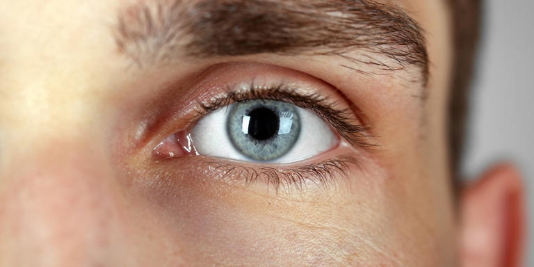 Your eyes reveal how strongly you believe fake news before you even ...