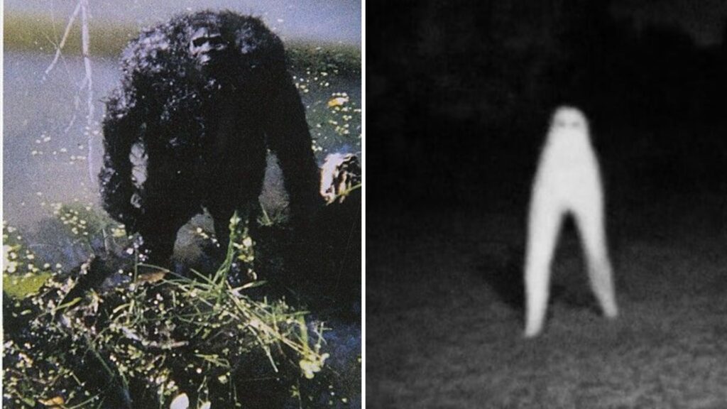 50 urban legends from all 50 states