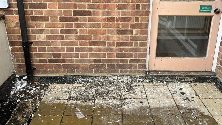 Pigeon mess leaves flats residents feeling trapped