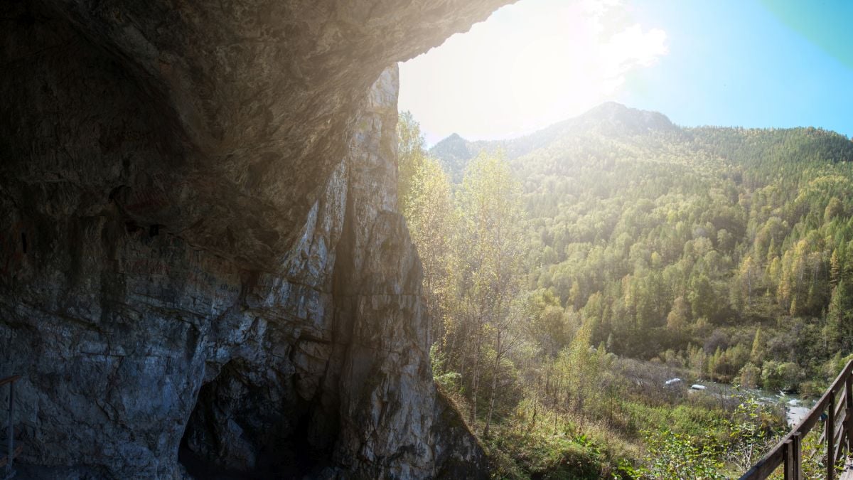 400,000-year-old proteins reveal a surprise twist in the human family tree
