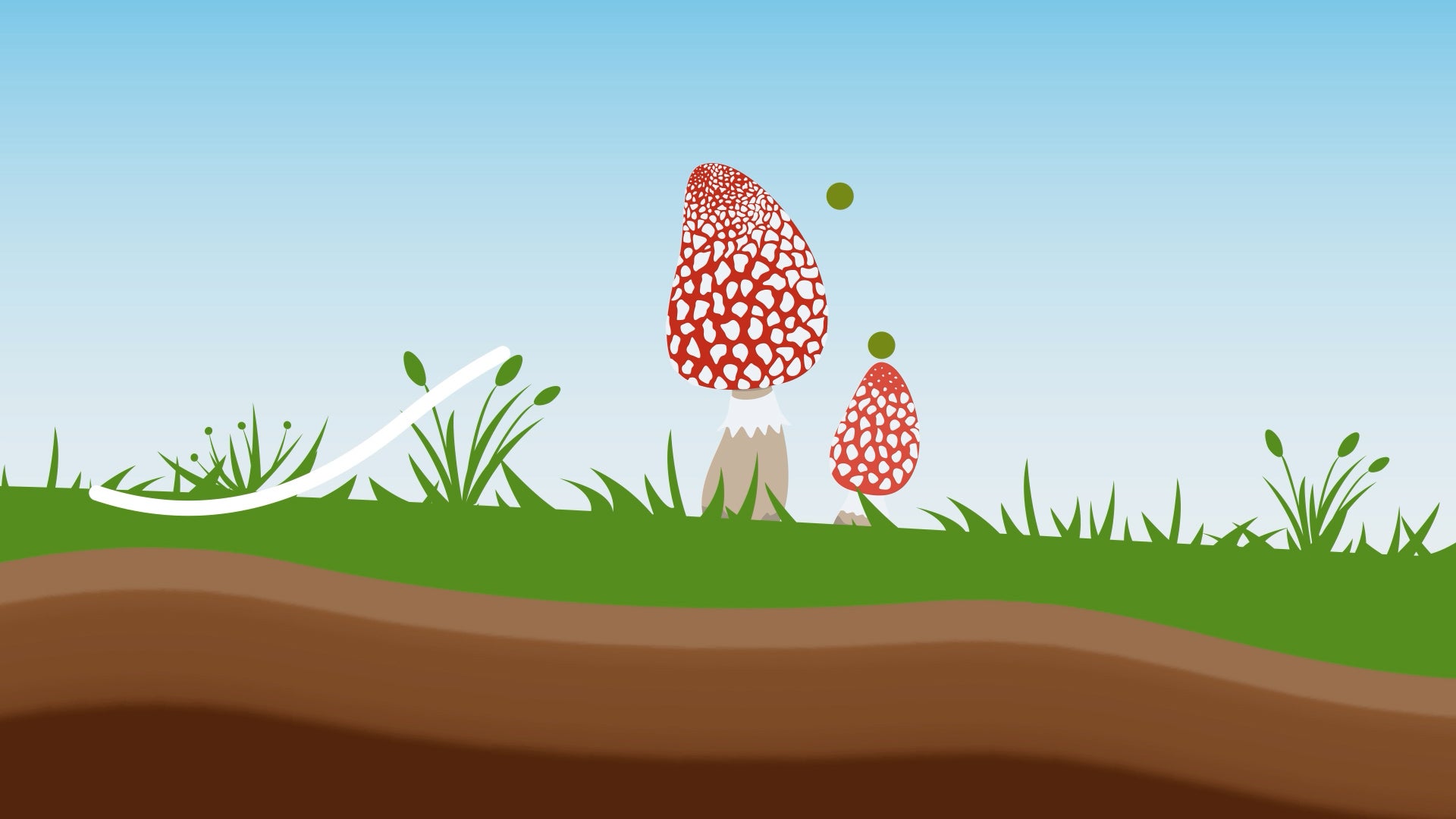 Valley fever: Weather fuels spread of 'fungal storms'
