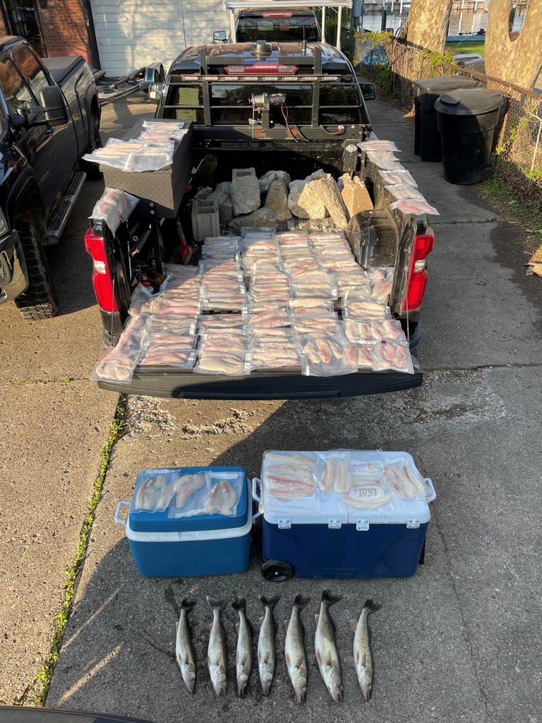 Fishing group ticketed for Detroit River walleye haul