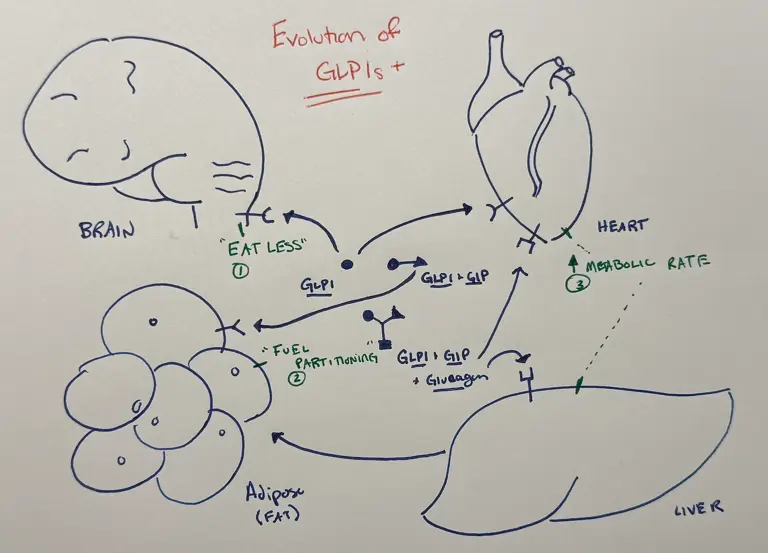 The peptide that mimics exercise... I’m testing it